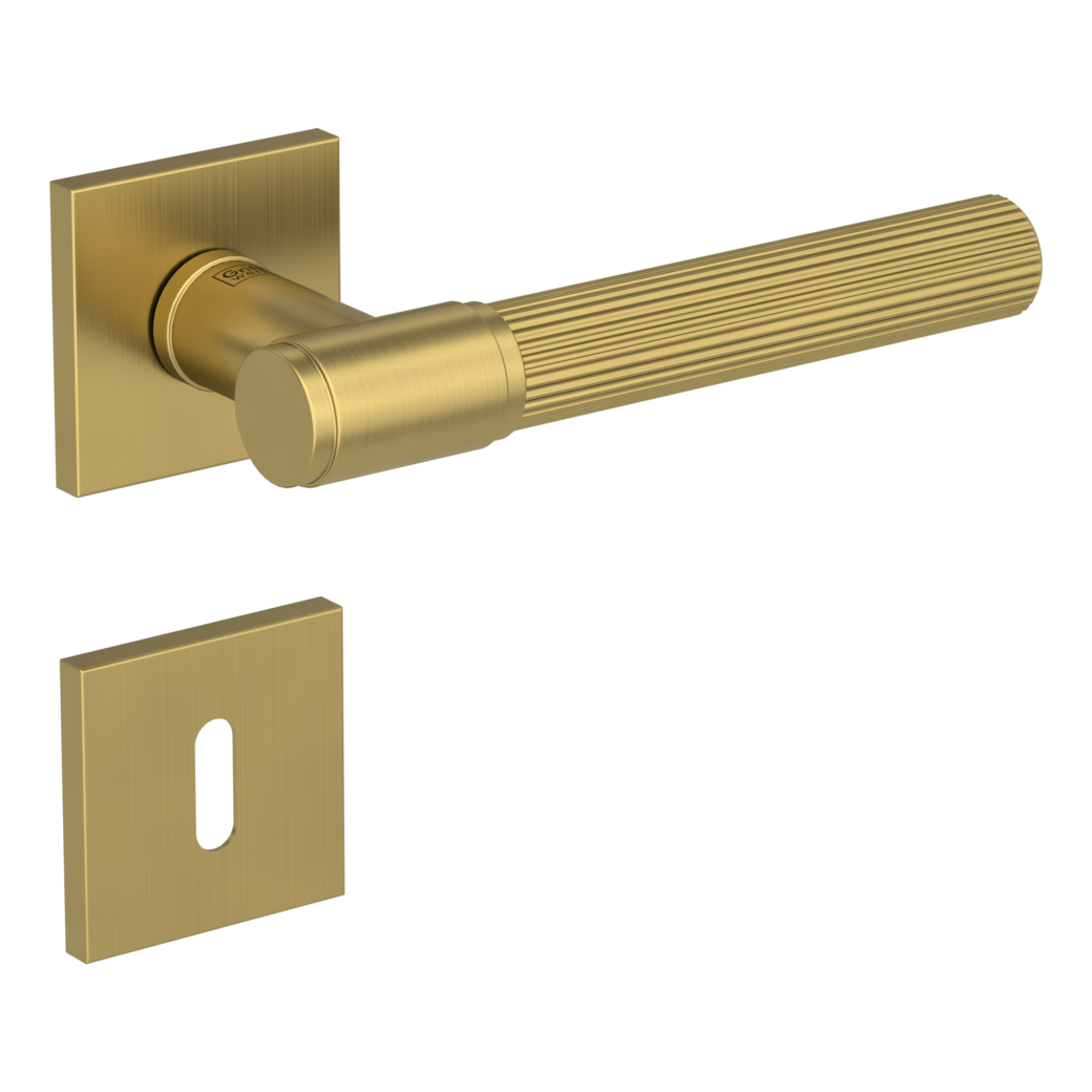 VAYA 136 ARIS 4251940146853 | GRIFFWERK